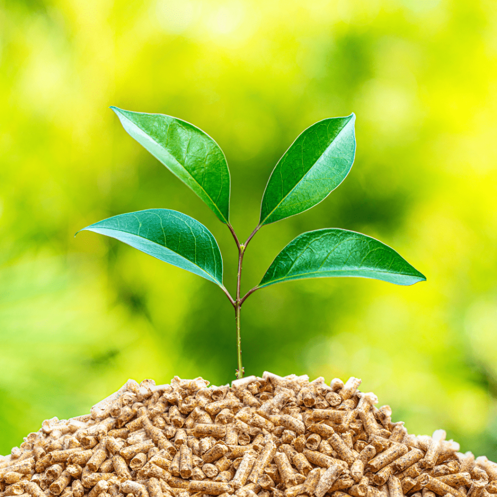 Waarom pelletkorrels kopen I Perfect Pellet